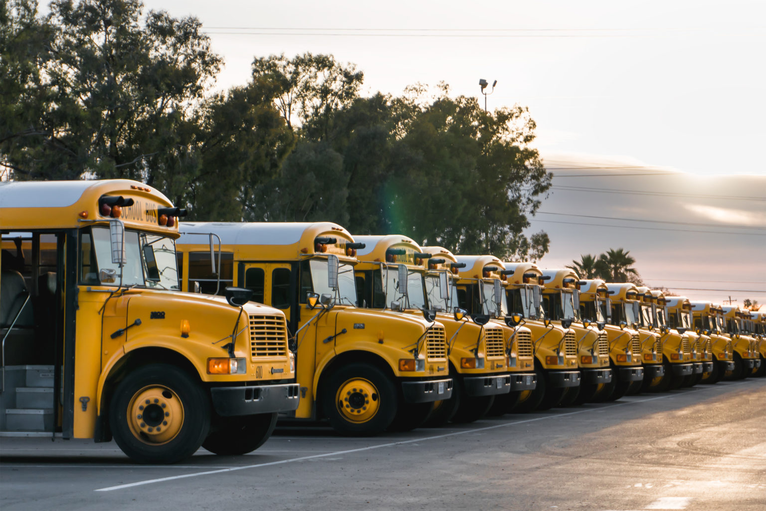 School Buses | School Bus Transportation Services | GO Riteway